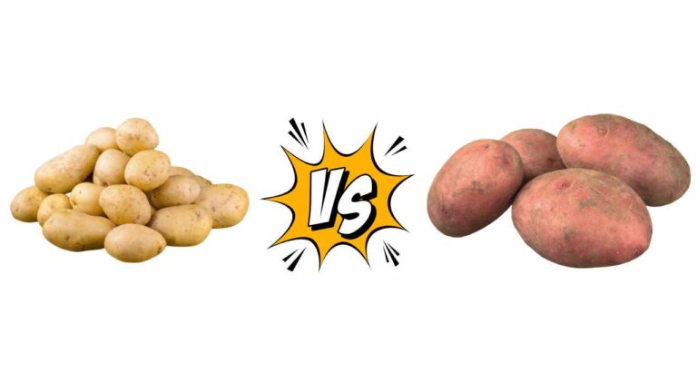 Yukon Gold vs. Russet Potatoes: Which One Is Best for Your Recipes ...